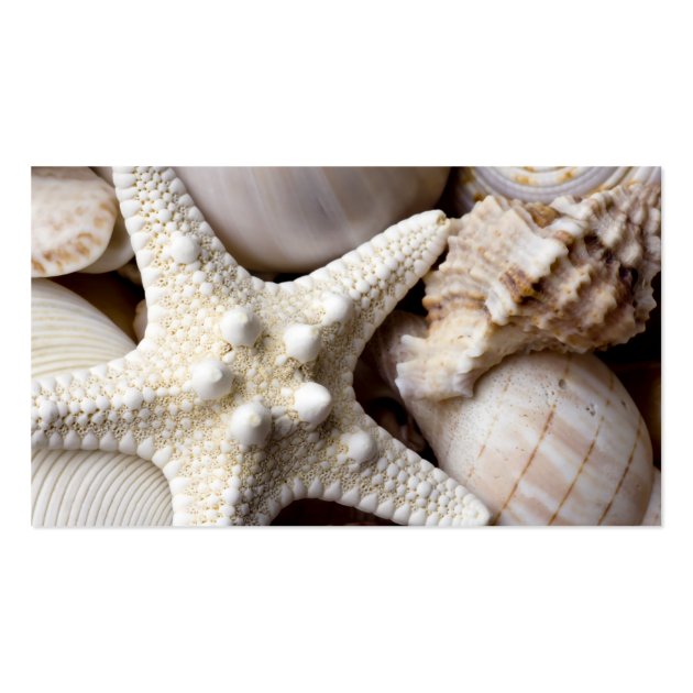 Sea Shell Starfish Background - Beach Shells Business Card Templates