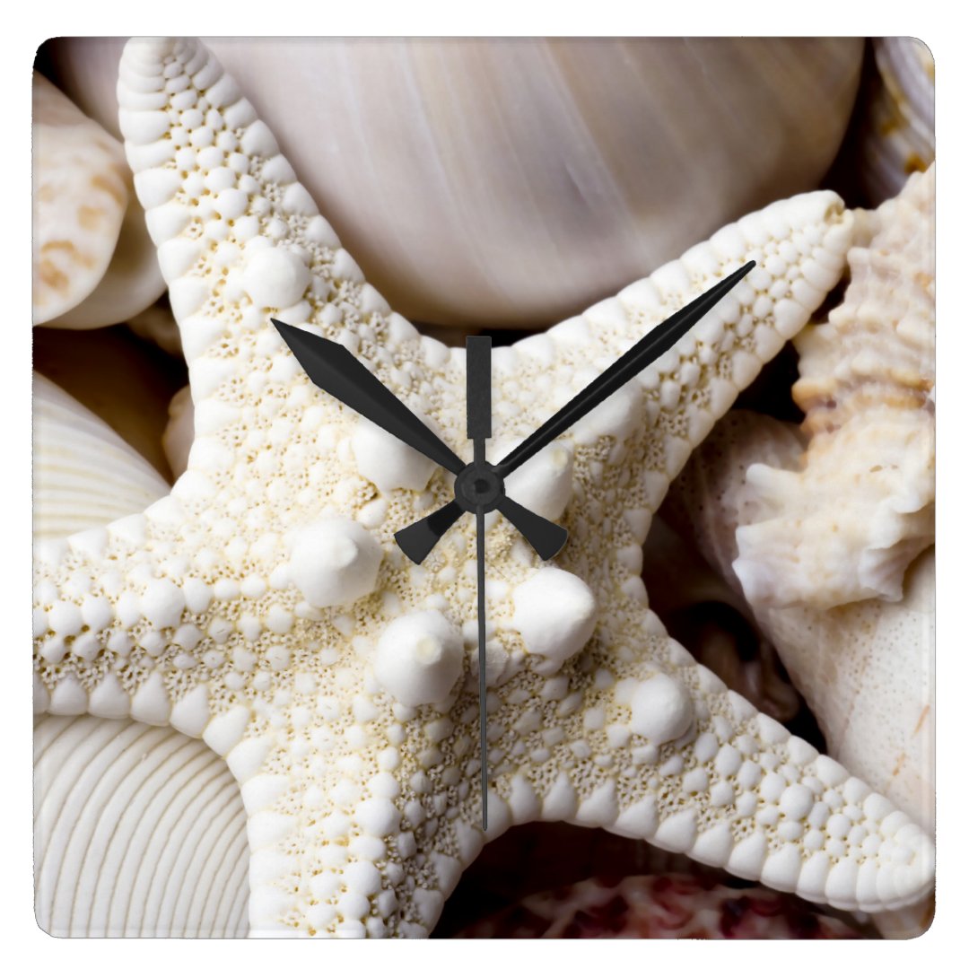 Sea Shell Starfish Background - Beach Shells Square Wall Clock | Zazzle