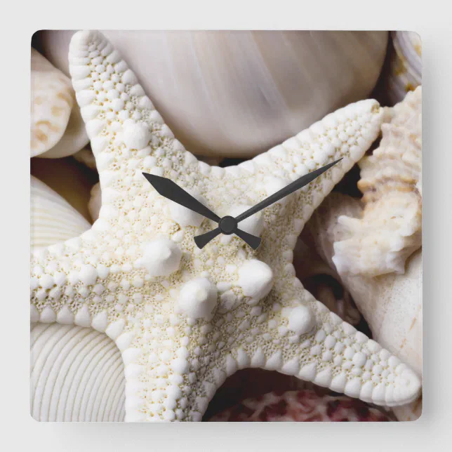 Sea Shell Starfish Background - Beach Shells Square Wall Clock | Zazzle