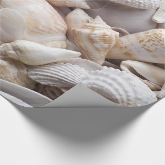 Sea Shell & Starfish Background - Beach Shells Wrapping Paper | Zazzle