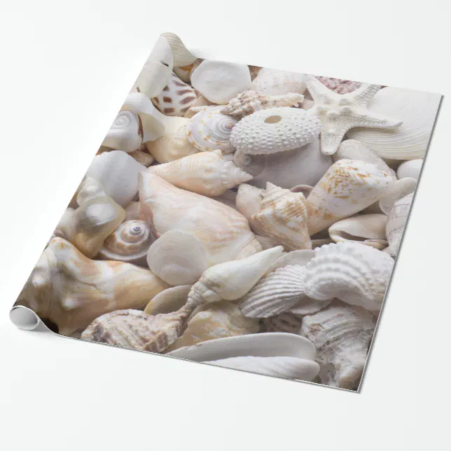 Sea Shell & Starfish Background - Beach Shells Wrapping Paper | Zazzle