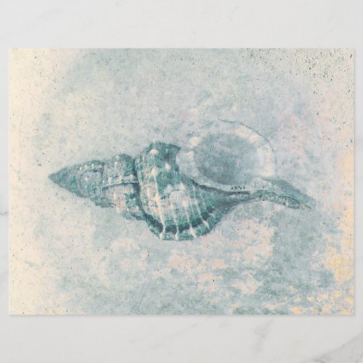 Sea Shell Teal Beige Vintage Ocean Beach Texture | Zazzle