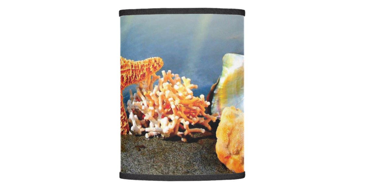 Sea shells and starfish on beach lamp shade | Zazzle
