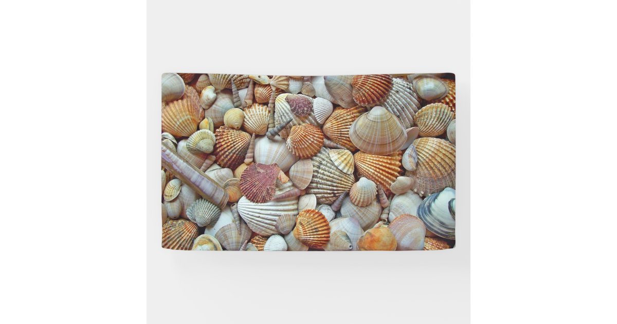 Sea Shells Banner | Zazzle