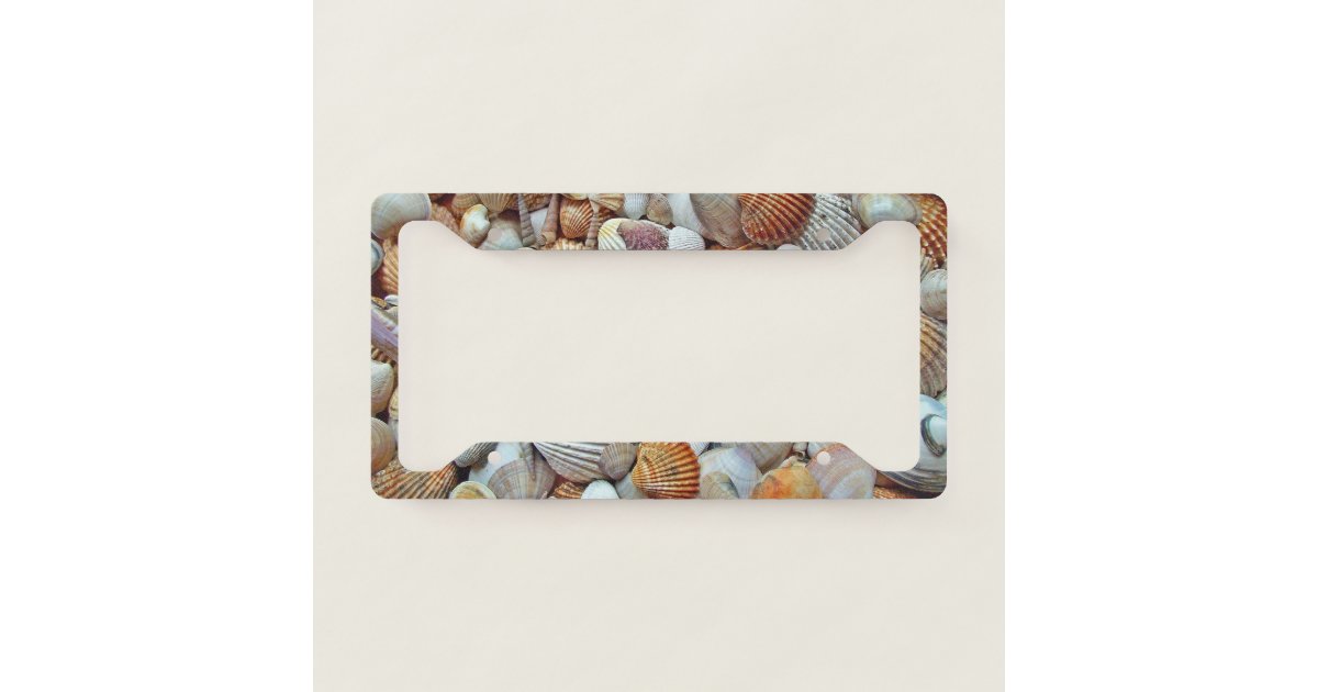 Sea Shells License Plate Frame | Zazzle