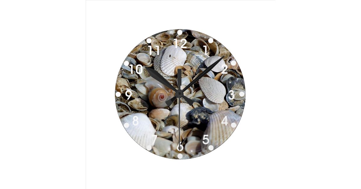 Sea Shells Medium Round Wall Clock | Zazzle.com
