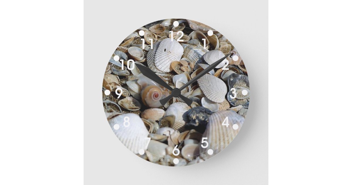 Sea Shells Medium Round Wall Clock | Zazzle