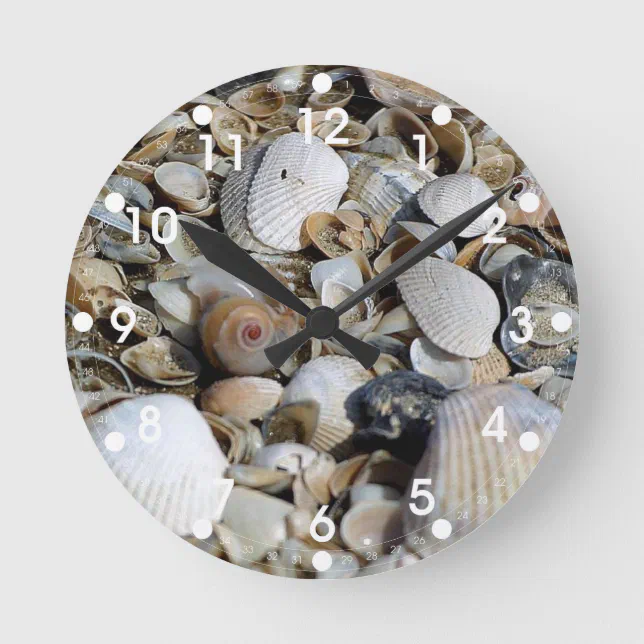 Sea Shells Medium Round Wall Clock | Zazzle