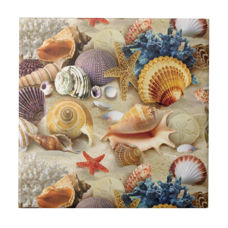 Sea shells on beach ceramic tile | Zazzle