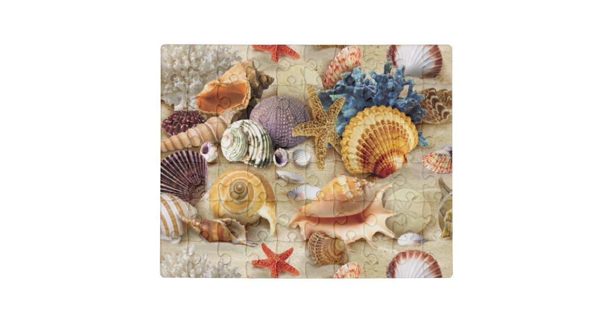 Sea shells on beach jigsaw puzzle | Zazzle