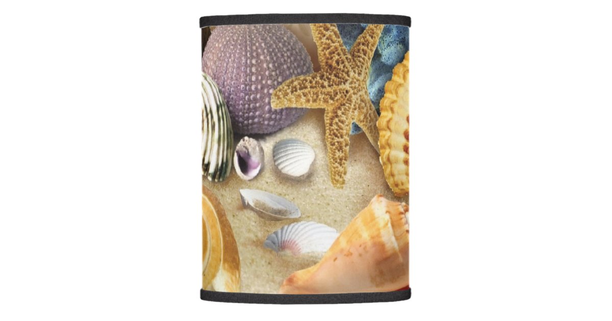 Sea shells on beach lamp shade | Zazzle