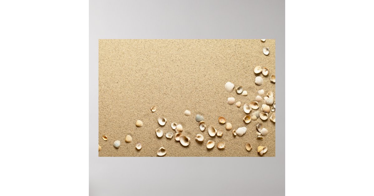 Sea Shells On Sand Poster | Zazzle