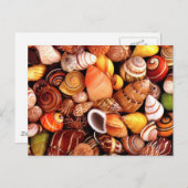 Sea Shells Postcard | Zazzle