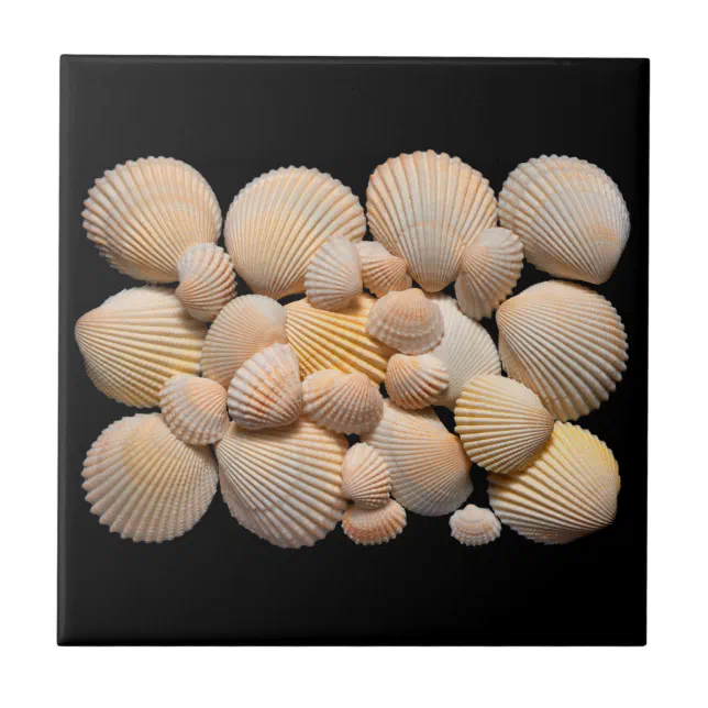 Sea Shells Tile | Zazzle