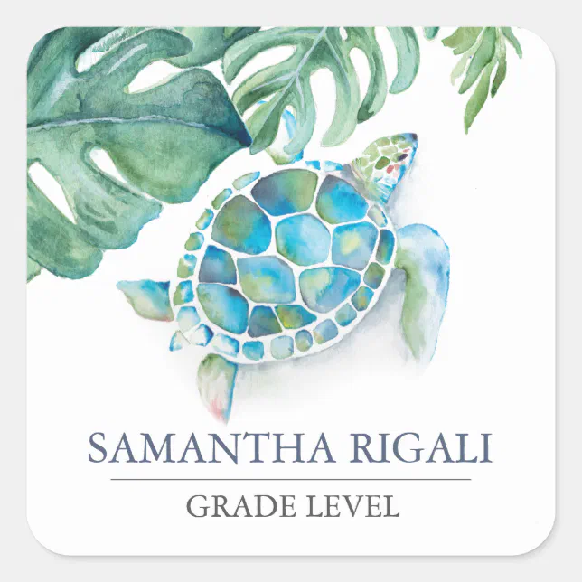 Sea Turtle Back To School Square Sticker | Zazzle
