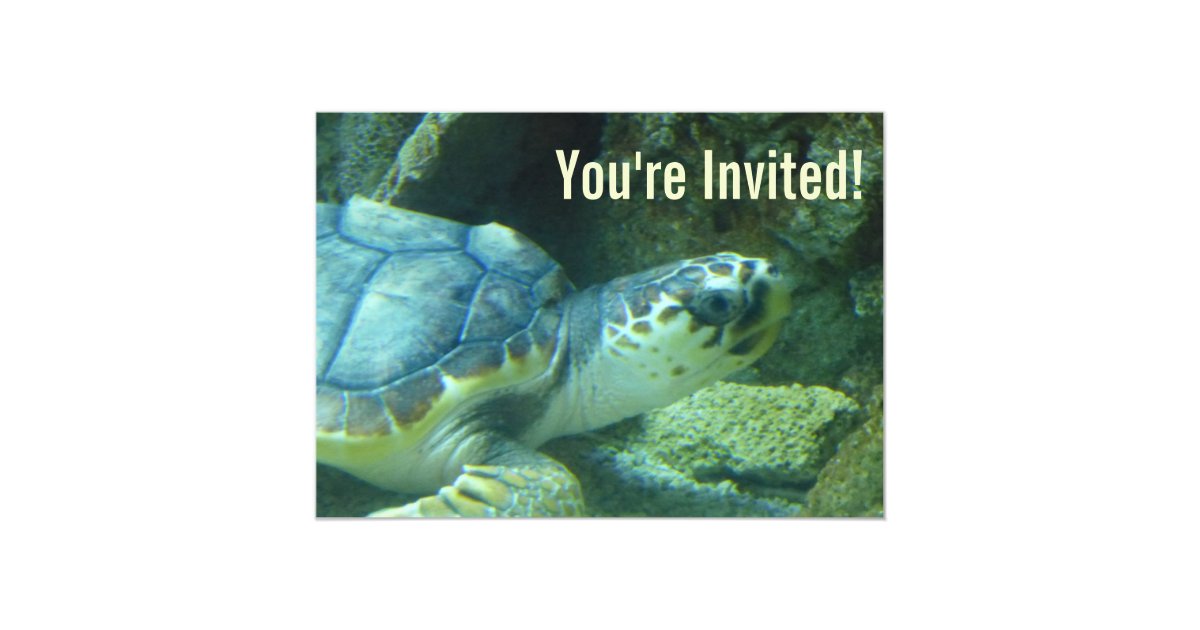 Sea Turtle Birthday Invitation | Zazzle.com