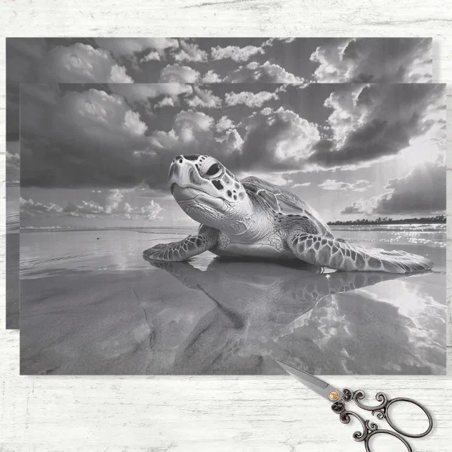 Sea Turtle Black and White Decoupage Tissue Paper | Zazzle