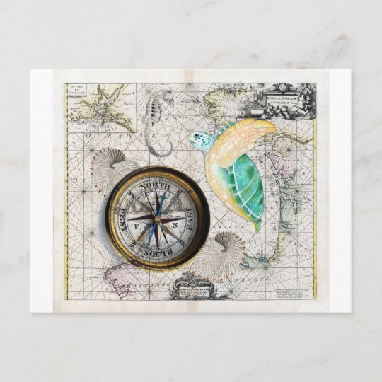 Sea Turtle Compass Vintage Postcard | Zazzle.com