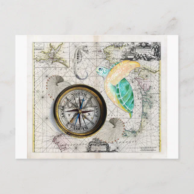 Sea Turtle Compass Vintage Postcard | Zazzle