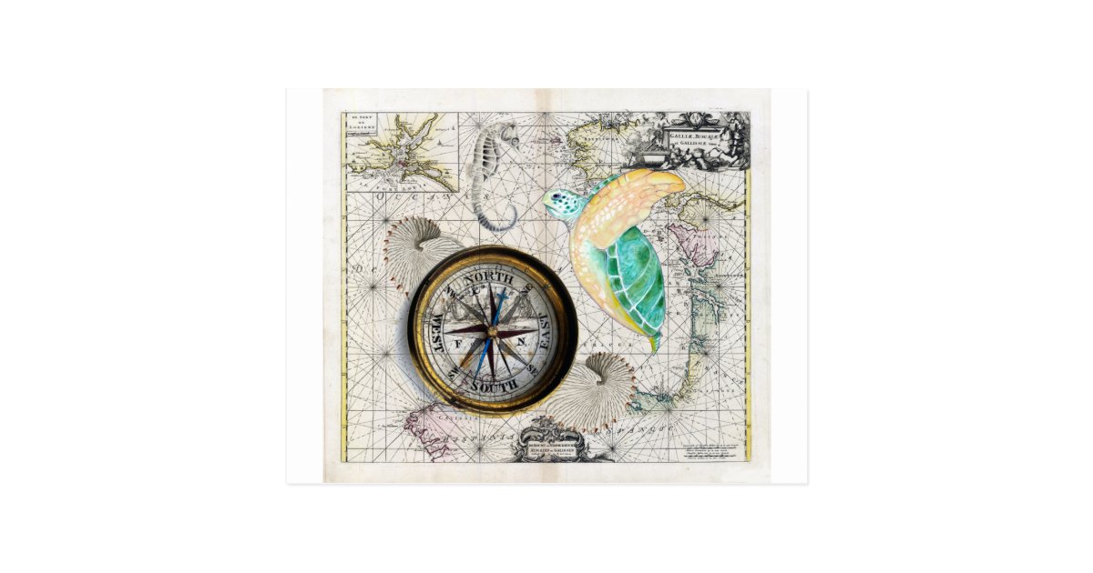 Sea Turtle Compass Vintage Postcard | Zazzle.com