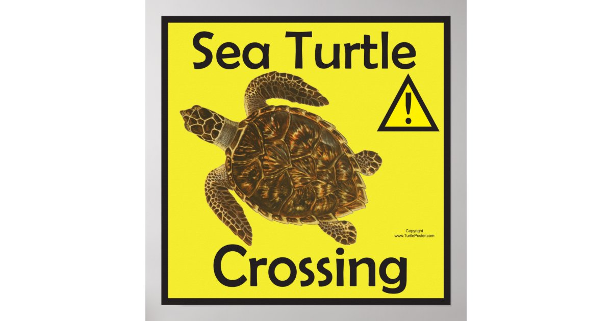 Sea Turtle Crossing Caution Poster | Zazzle