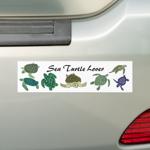 Sea Turtle Lover bumper sticker | Zazzle