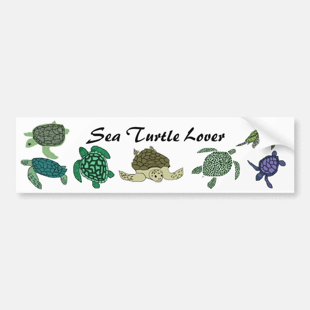 Sea Turtle Lover bumper sticker | Zazzle