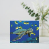 Sea Turtle Postcard | Zazzle