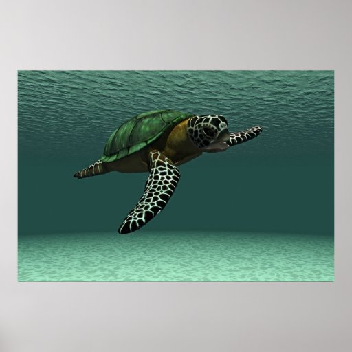 Sea Turtle Posters, Sea Turtle Prints, Art Prints, & Poster Designs ...