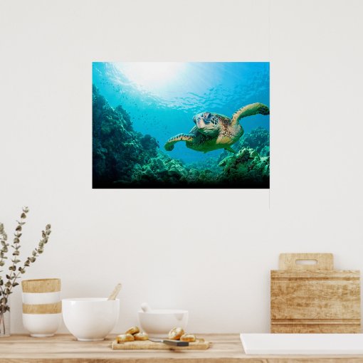 Sea Turtle Poster | Zazzle