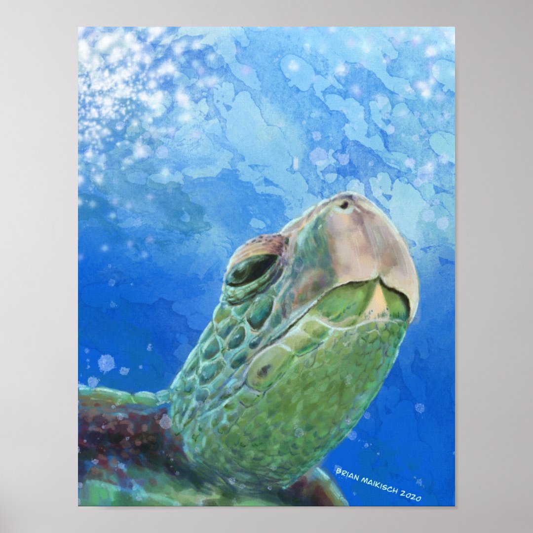 Sea Turtle Poster | Zazzle