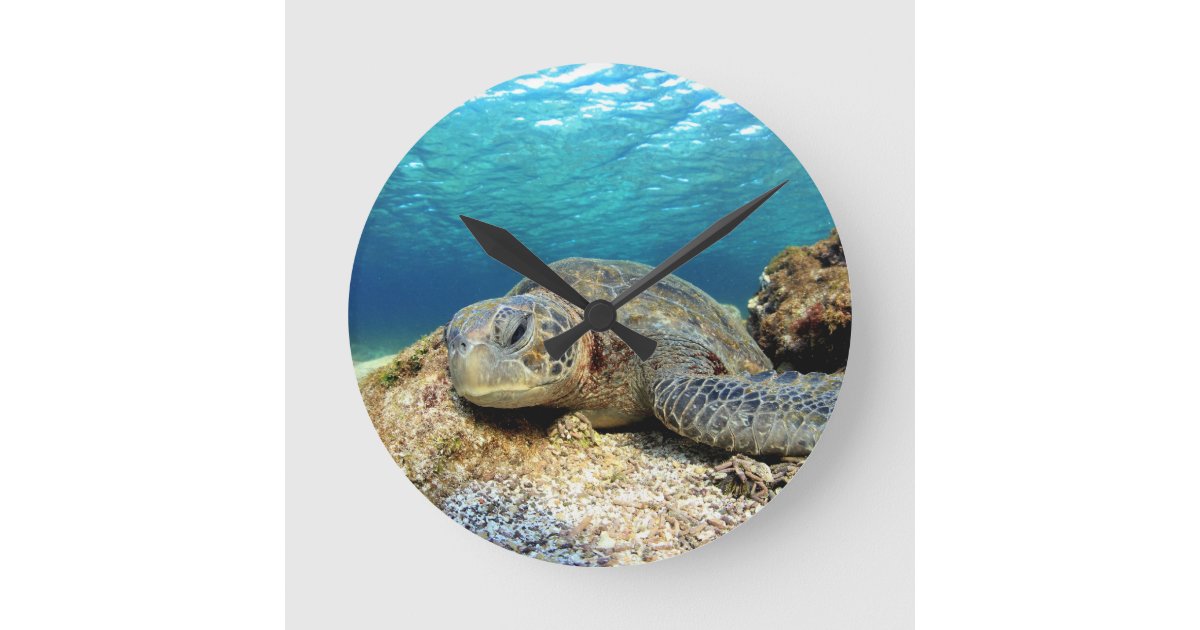 Sea turtle relaxing underwater in tropical ocean round clock | Zazzle