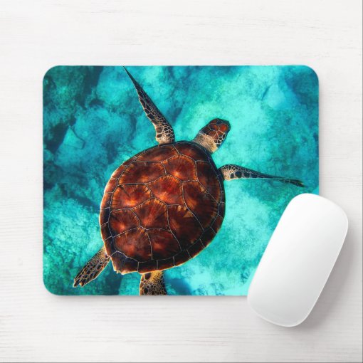 Sea Turtle Top View Mouse Pad | Zazzle