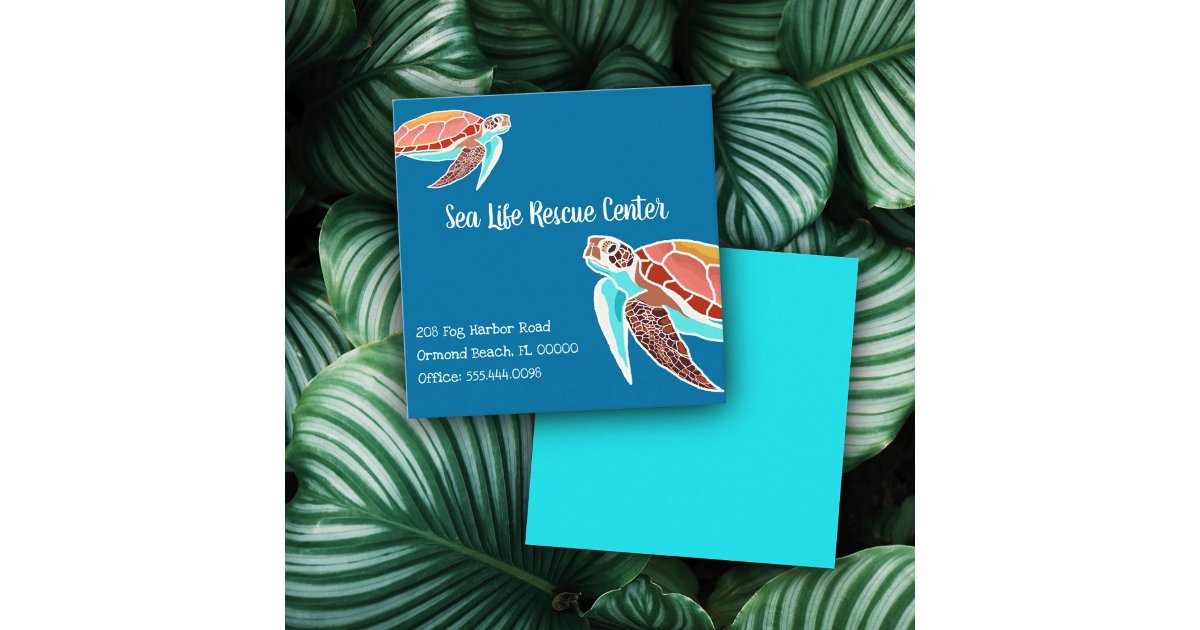 Sea Turtles Illustrated Business Cards | Zazzle