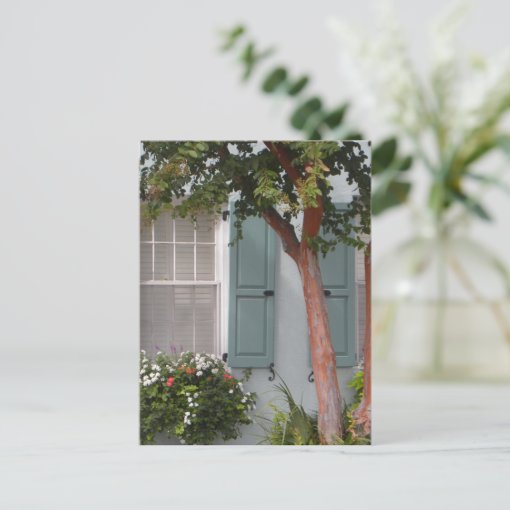 Seagreen Shutters Postcard | Zazzle