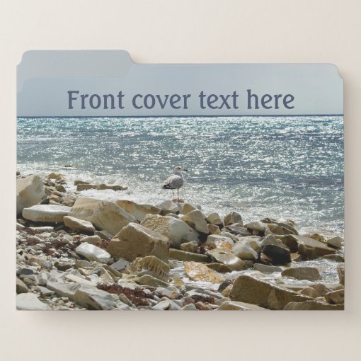 Seagull and sea file folder | Zazzle