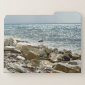 Seagull and sea file folder | Zazzle