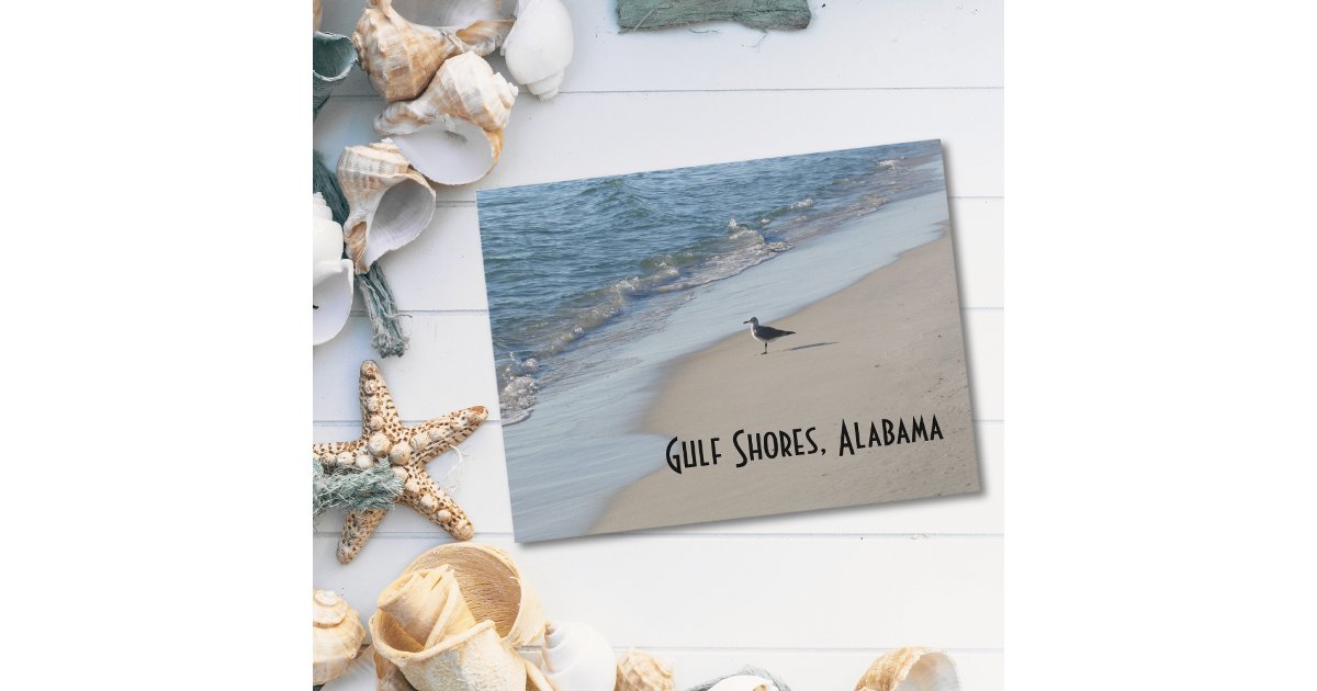 Seagull Beach Travel Postcard | Zazzle