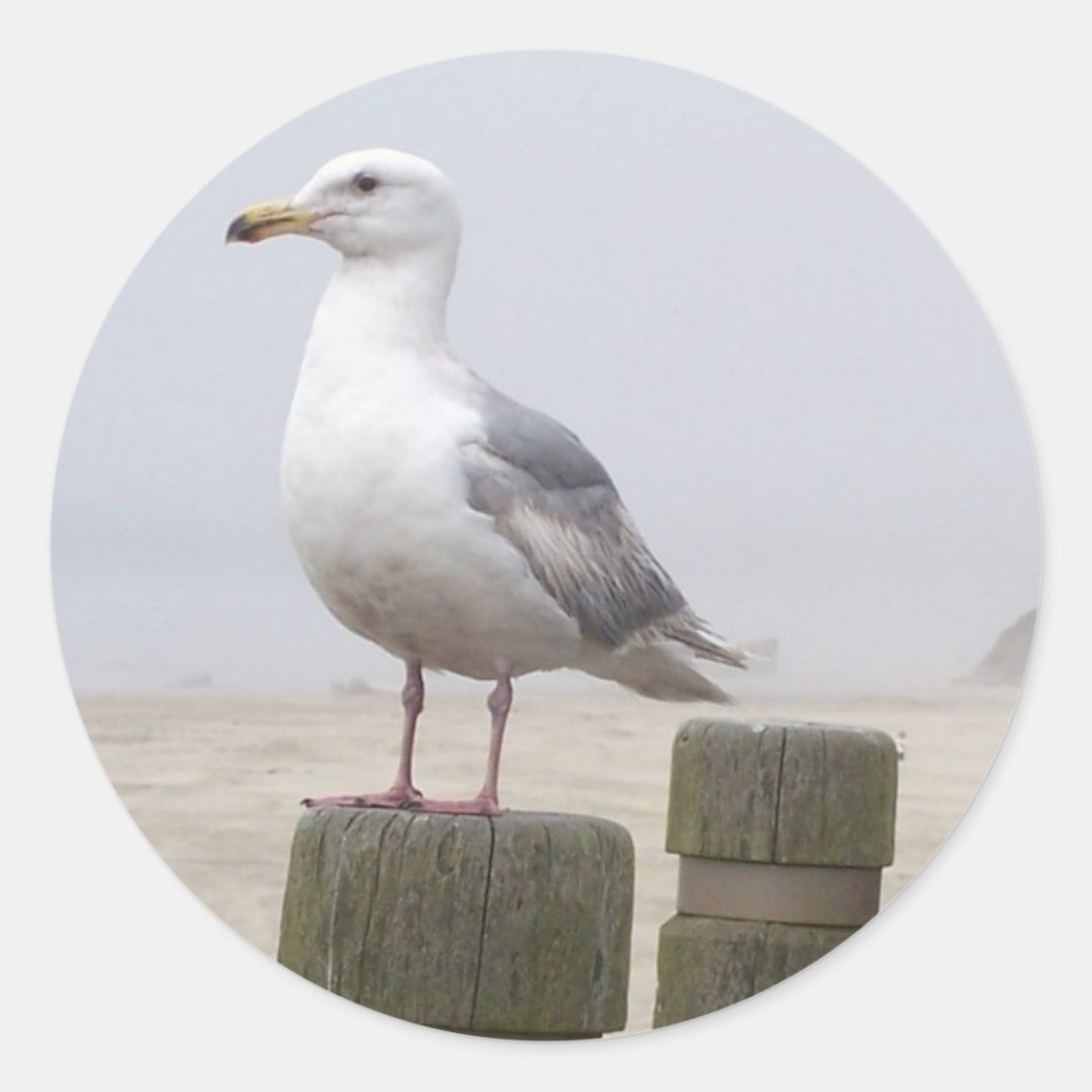 Seagull Classic Round Sticker | Zazzle