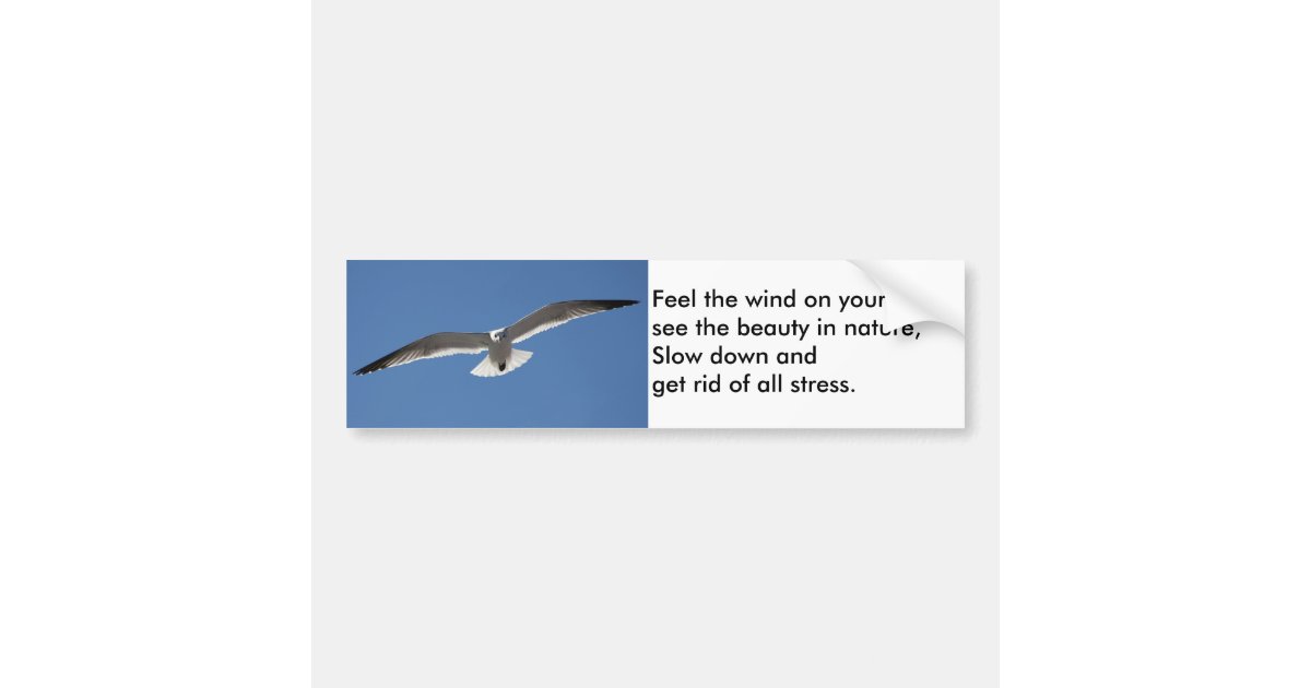 Seagull Flying Poem Bumper sticker | Zazzle