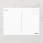 Seagull Nautical Postcard | Zazzle