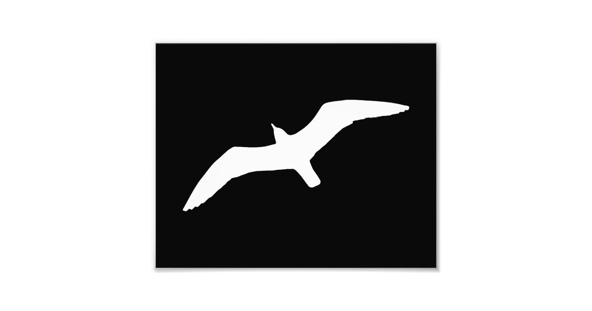 Seagull Shape Photo Print | Zazzle