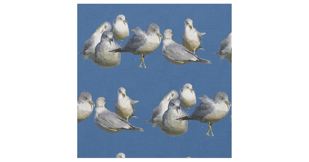 Seagulls Fabric | Zazzle