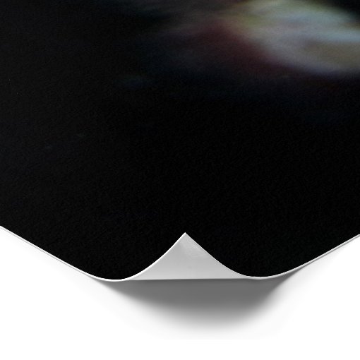 Seahorse | Pony Female Begur Poster | Zazzle