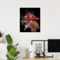 Seahorse | Pony Female Begur Poster | Zazzle