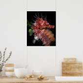 Seahorse | Pony Female Begur Poster | Zazzle