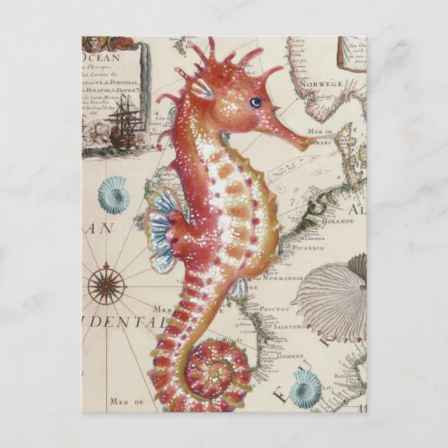 Seahorse Shabby Postcard | Zazzle