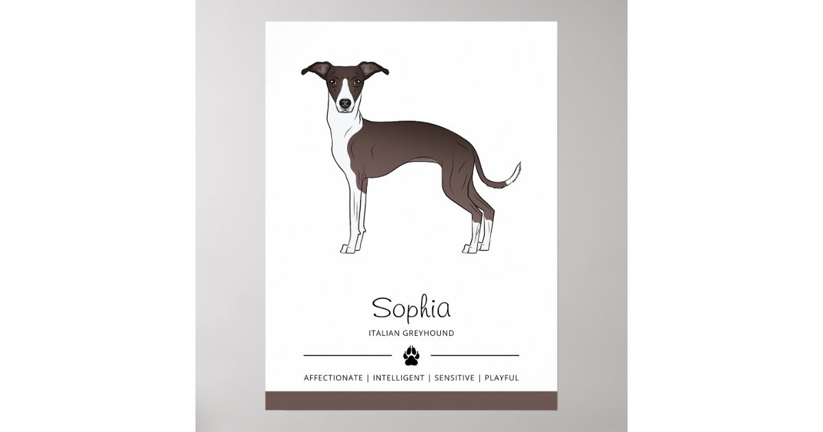 Seal And White Italian Greyhound With Custom Text Poster | Zazzle