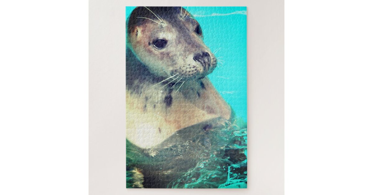 Seal Jigsaw Puzzle | Zazzle