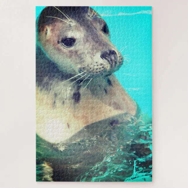 Seal Jigsaw Puzzle | Zazzle